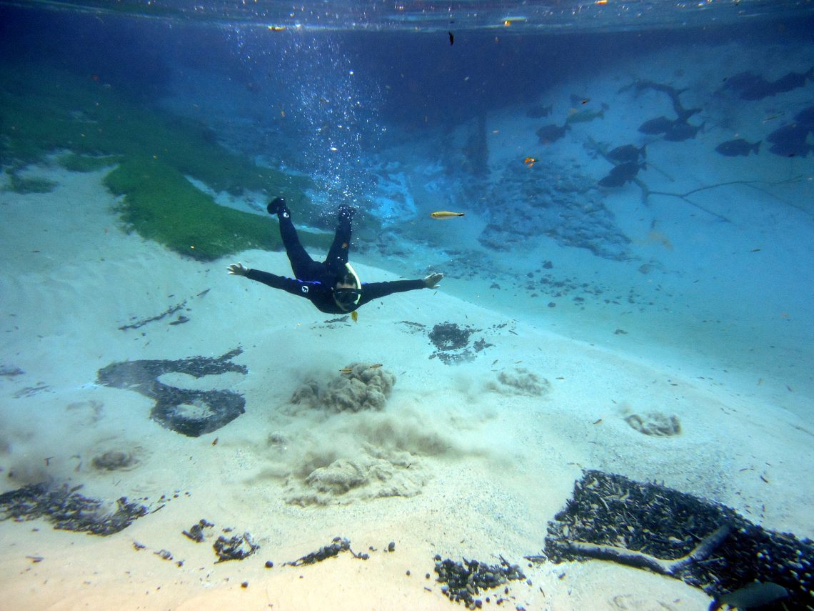 Flutuação Rio da Prata - Passeios em Bonito - Do Brasil para o Mundo