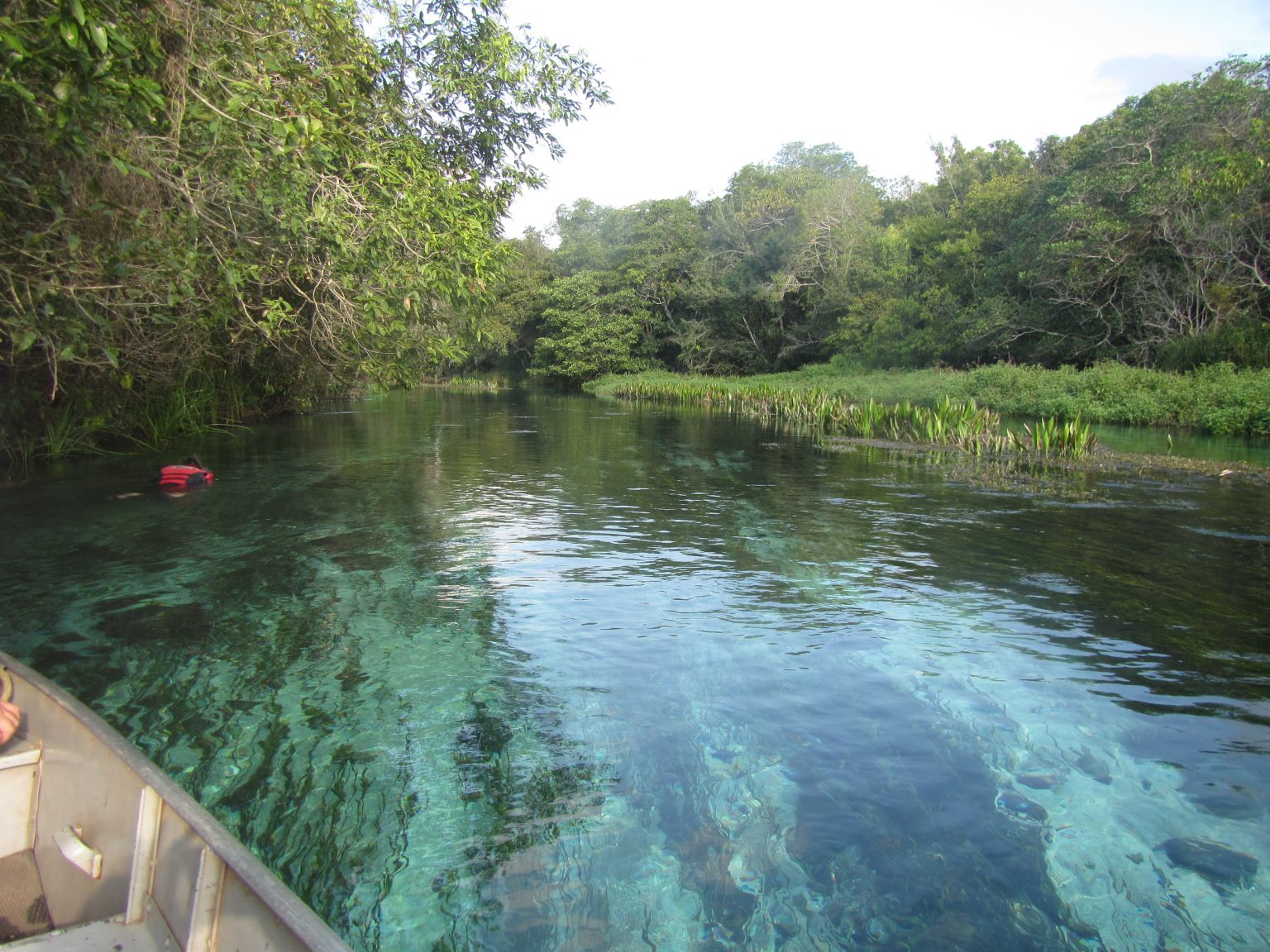 Flutuação Rio Sucuri - Passeios em Bonito - Do Brasil para o Mundo