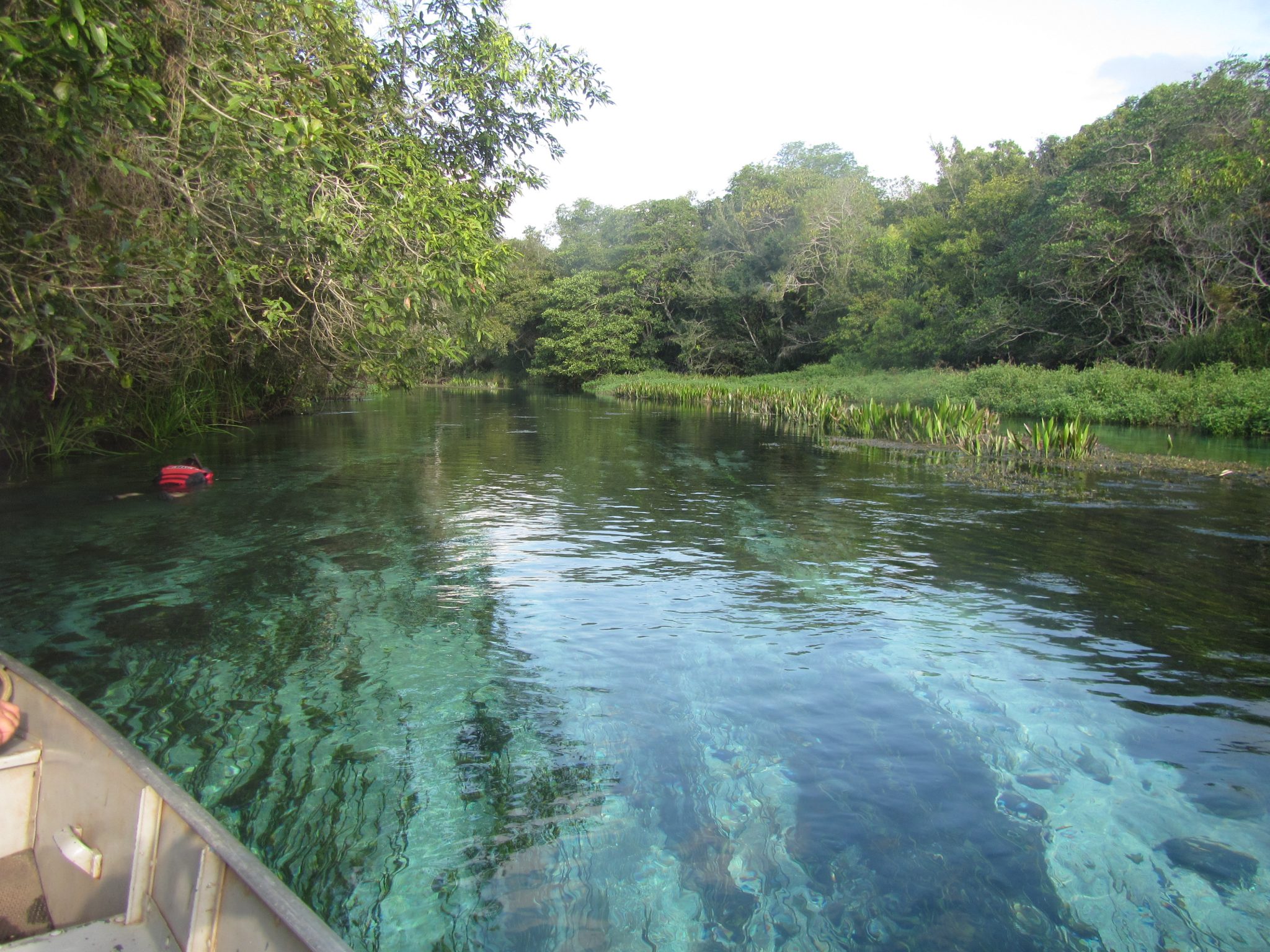 Flutuação Rio Sucuri - Passeios em Bonito - Do Brasil para o Mundo