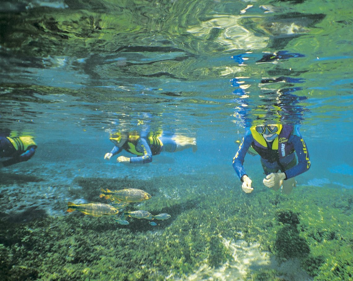 Flutuação Rio Sucuri - Passeios em Bonito - Do Brasil para o Mundo