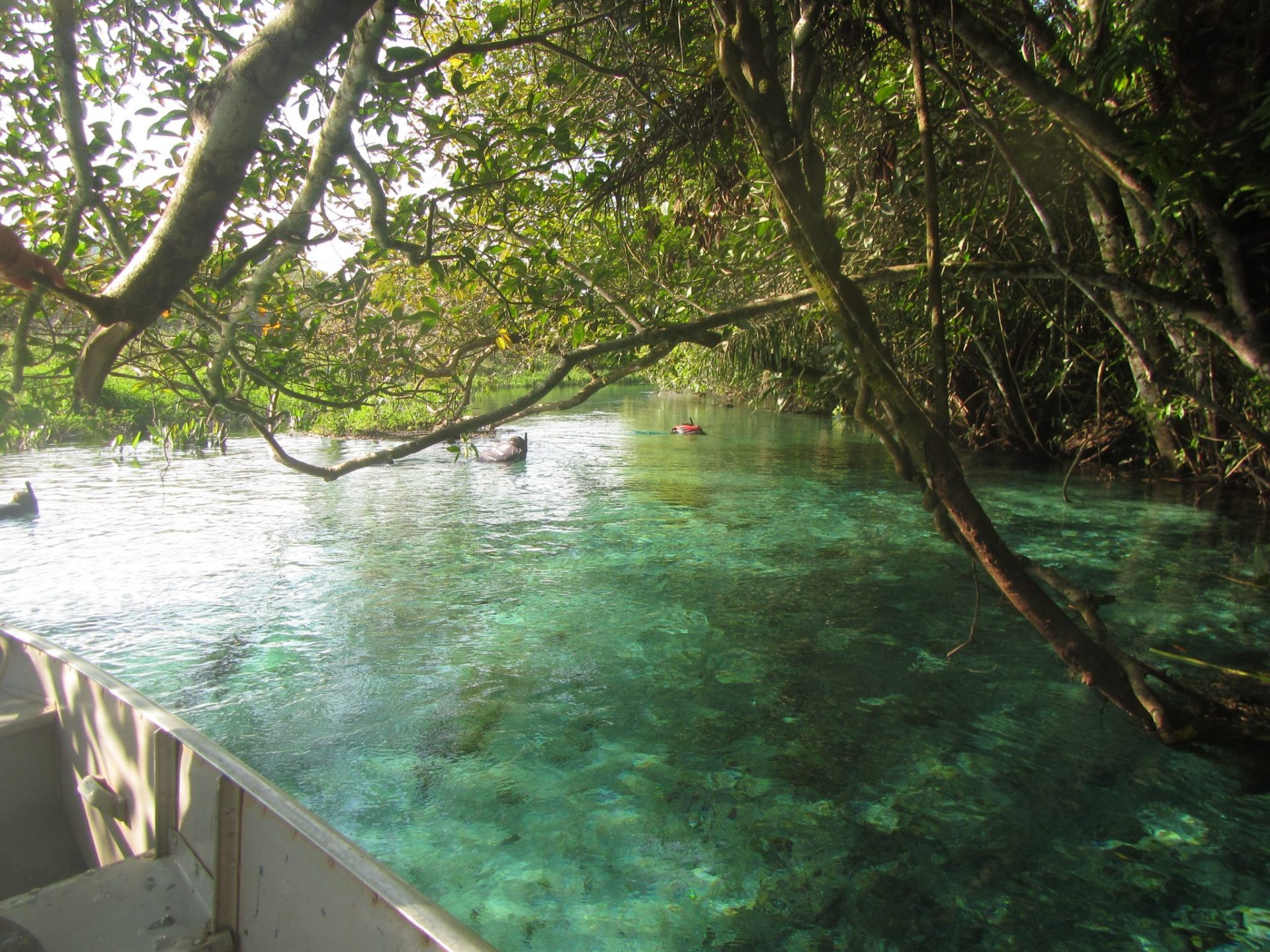 Flutuação Rio Sucuri - Passeios em Bonito - Do Brasil para o Mundo