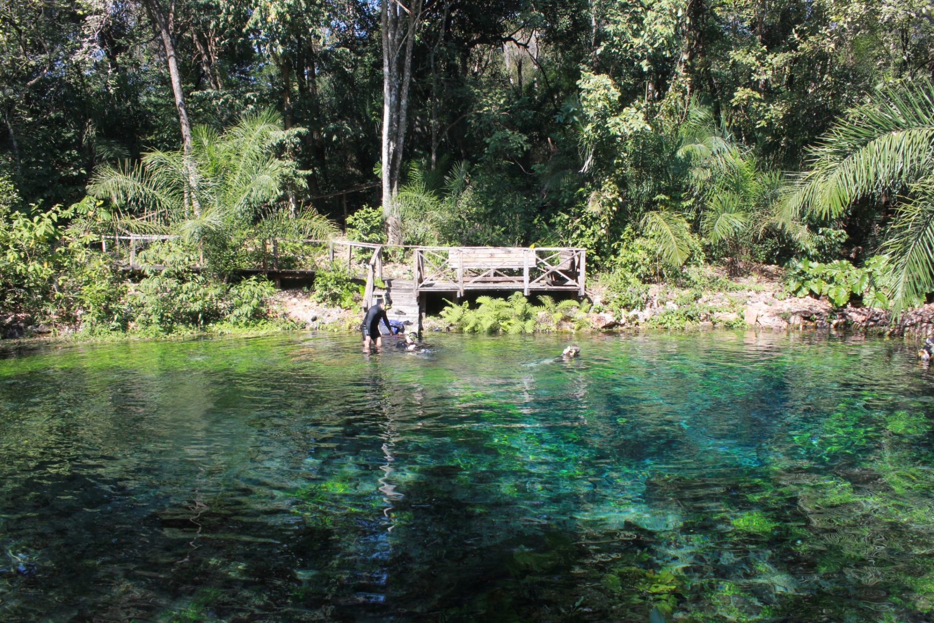 Flutuação Nascente Azul - Passeios em Bonito - Do Brasil para o Mundo